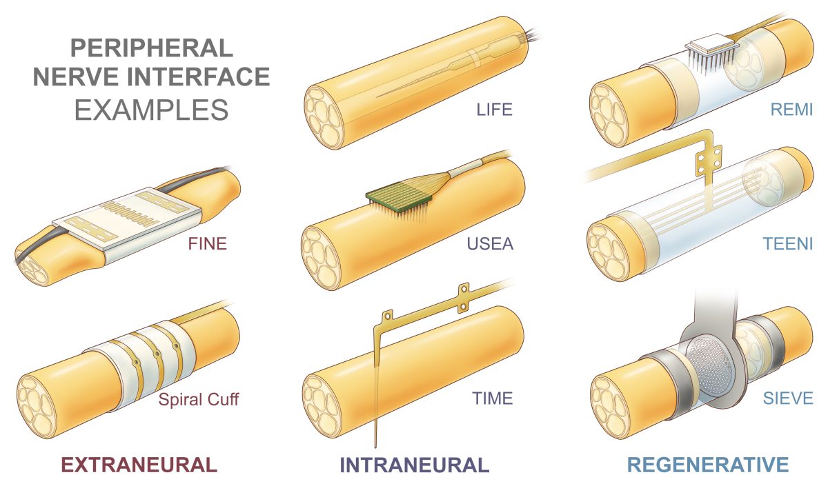 Research – Faraji Lab | Houston Methodist